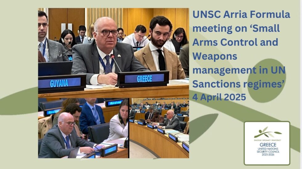 UN Security Council Arria Formula Meeting on ‘Small Arms Control and ...